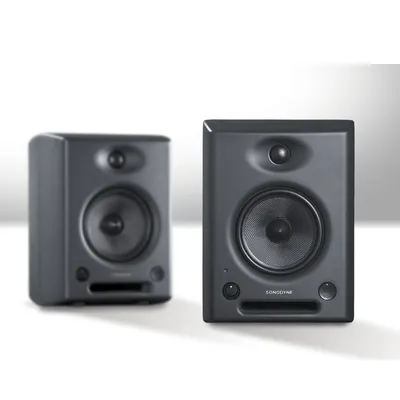 Sonodyne SRP 501 Studio Monitor | AC GHAR