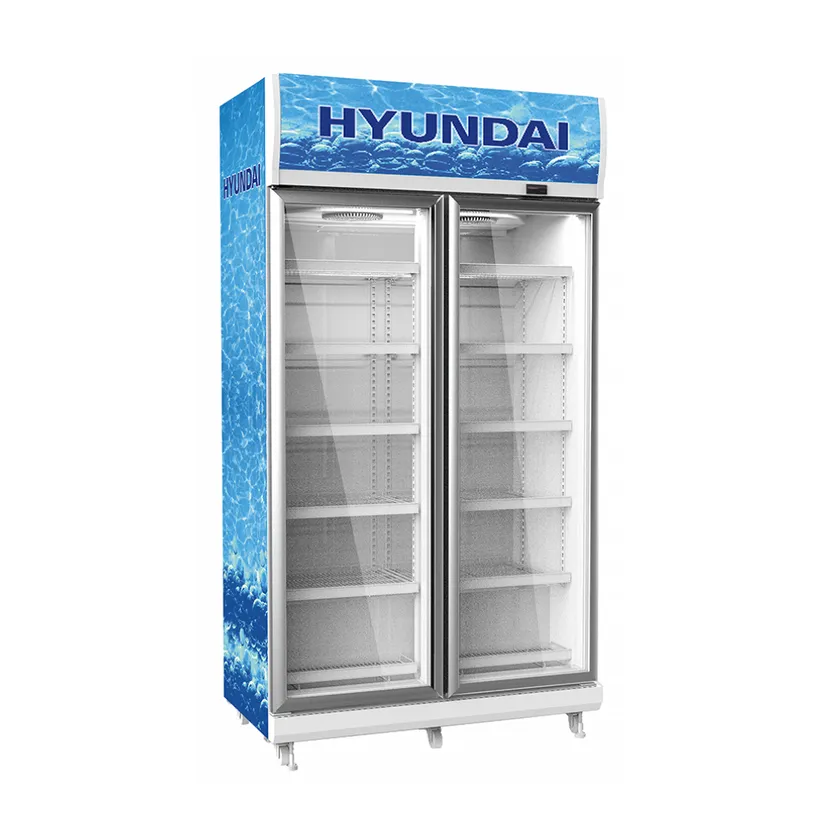 Hyundai 1006 Liter Upright Showcase - Visi Cooler | AC GHAR
